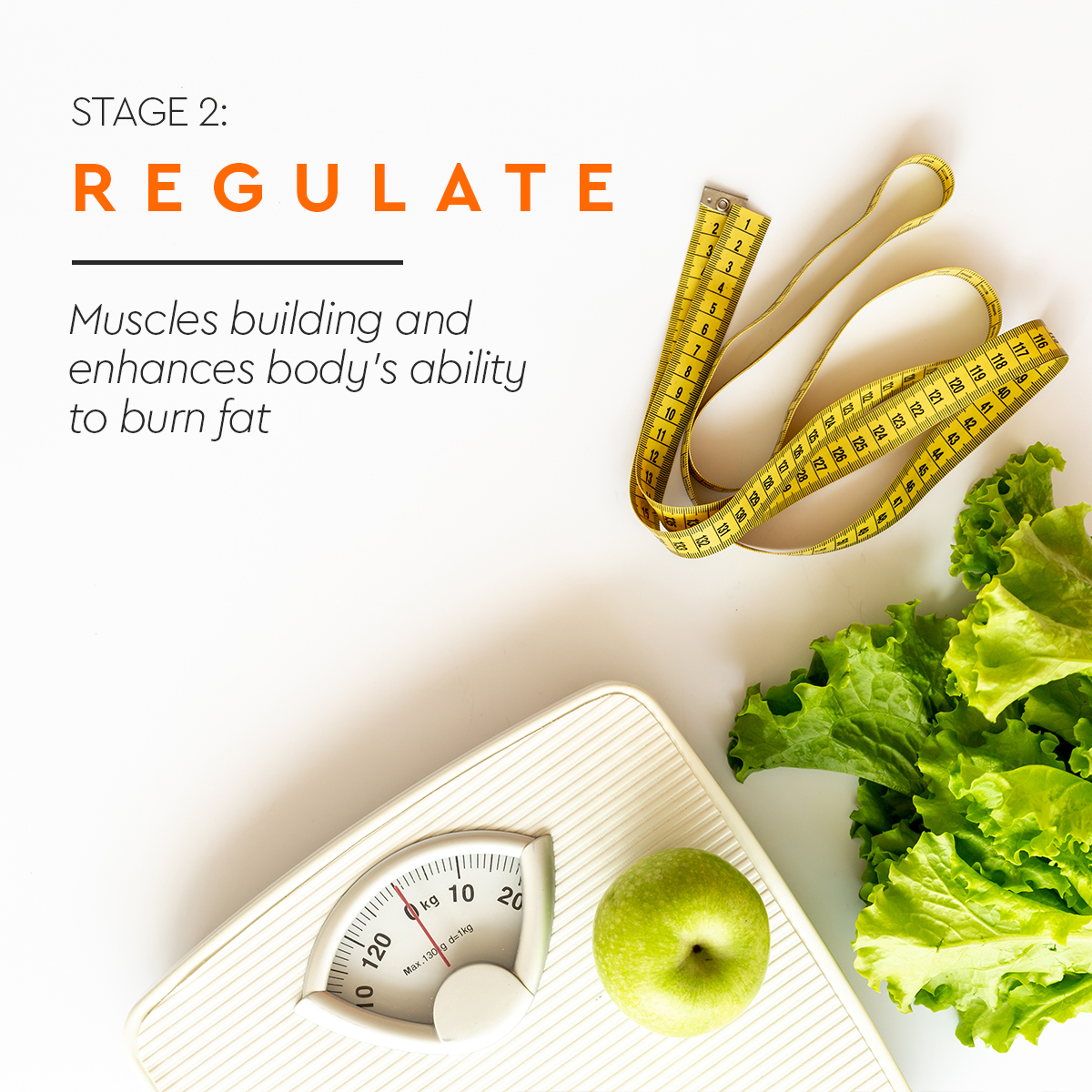 Muscle Building and Toning Treatment